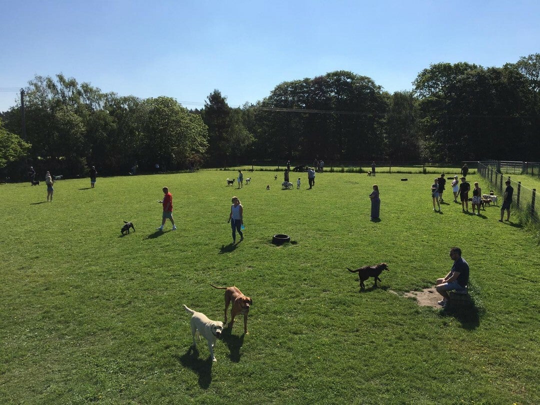 News & Events Cooling Gear Canicross/Bikejor Gift Certificates Pet Services